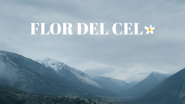 Curtmetratge 'Flor del cel' — Verkami