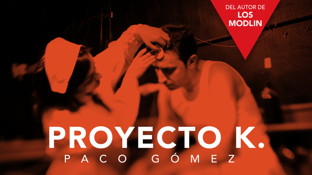 PROYECTO K. / El libro — Verkami