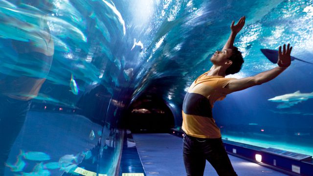 Valencia Dancing Forward 2016 — Verkami