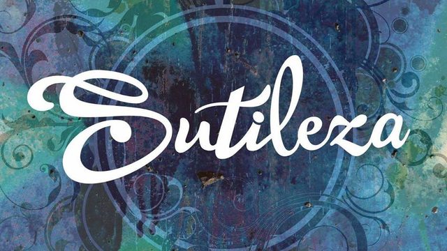 "Sutileza": disco de Mr. Michael — Verkami