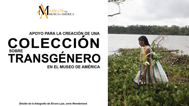 TRANSGENDER COLLECTION — Colección Transgénero