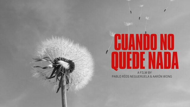 Cuando no quede nada — Verkami