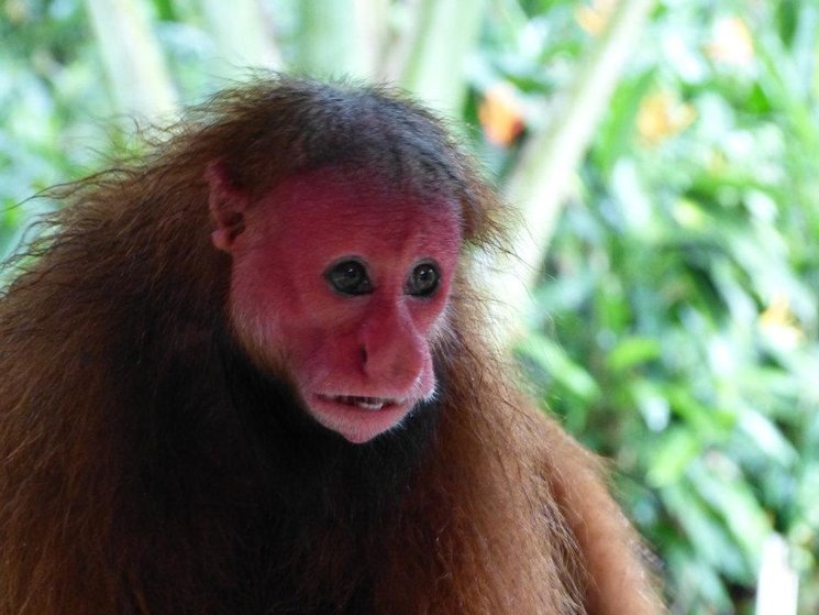 Nos restan 38 días! Sigamos compartiendo y uniendo a más personas ...