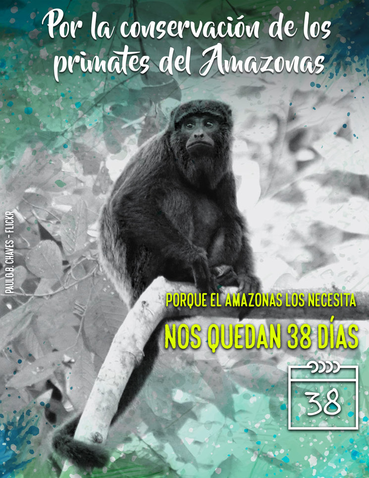 Nos restan 38 días! Sigamos compartiendo y uniendo a más personas ...